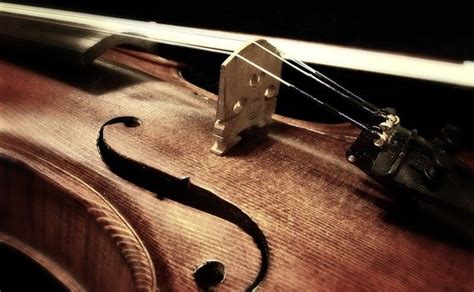 Should You Loosen Violin Strings When Not Playing Music Gear Heads