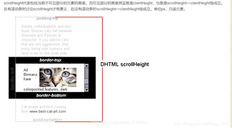 Css文字显示两行，溢出显示省略号，点击查看更多css 两行 Csdn博客
