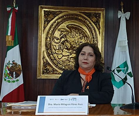 Poder Judicial Cdmx Jueces De Control Atienden Medidas De PrevenciÓn