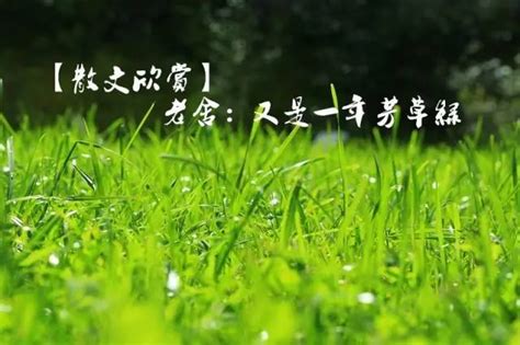 关于绿的散文 绿电子书 课文 大山谷图库