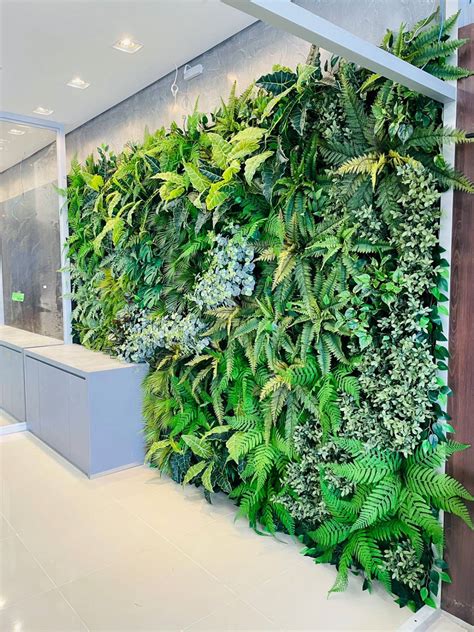 Jardim vertical preservado em São Paulo SP Classificados Solutudo