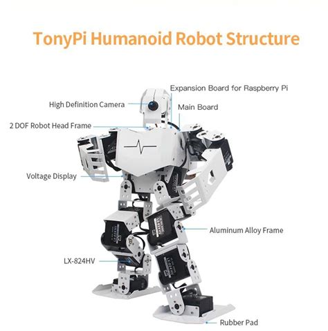 18dof Visual Humanoid Robot Programmable Robot Tonypi Finished W Main