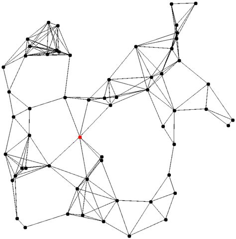 Figure Representation Of A Central Leader Node In Red In A