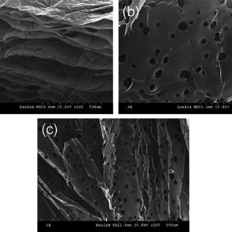Chemical Structure Of Crosslinked Ha With Bdde Download Scientific Diagram