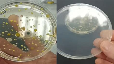 ‘공중화장실 손 건조기 쓰고 얼굴 만졌다간 헉세균 실험 보니