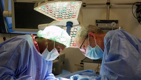 Ehs Advanced Open Cadaveric Hernia Course Ehs