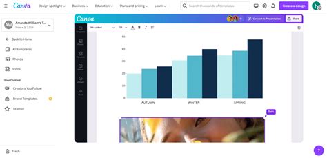 Canva Magic Write