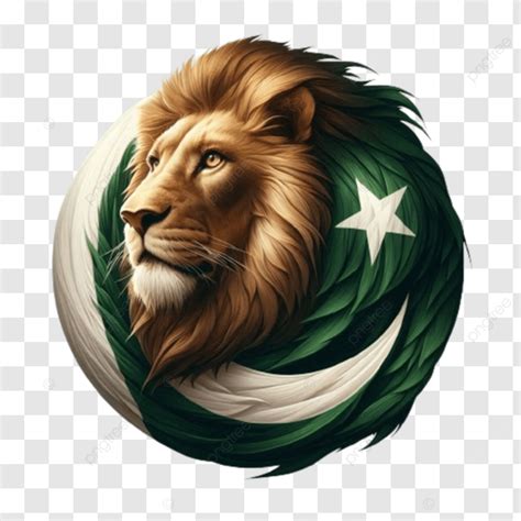 사자 머리 클립 아트 디자인과 파키스탄 국기 사자 머리가 있는 파키스탄 국기 클립 아트 사자 머리 클립 아트 디자인과 파키스탄 국기 파키스탄 국기 Png 일러스트 및