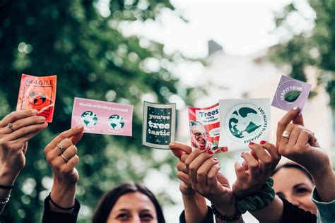 Large Sticker Pack Go Forest