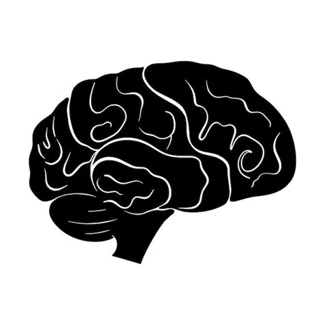 Premium Vector Vector Human Internal Organs Icon