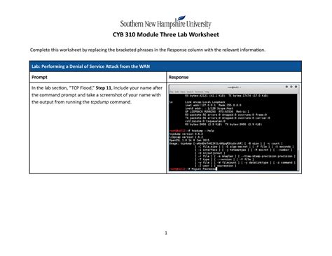 CYB Module Three Lab Worksheet CYB Module Three Lab Worksheet Complete This Worksheet