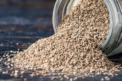 Celery Seed Vs Celery Powder Spiceography Showdown