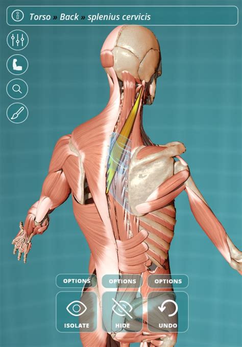 I Like The UI Controls