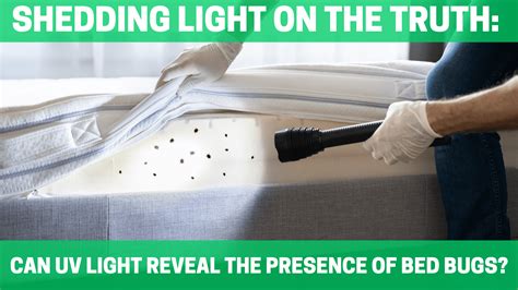 Shedding Light On The Truth Can Uv Light Reveal The Presence Of Bed B