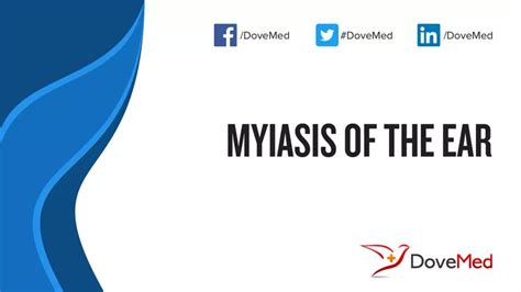 Myiasis Of The Ear Dovemed