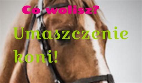Co Wolisz Umaszczenie Koni Samequizy