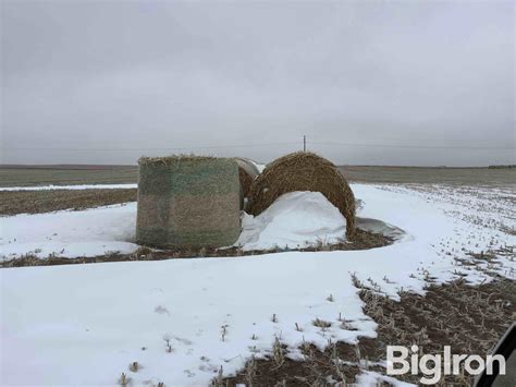 Sudan Hay Round Bales Bigiron Auctions