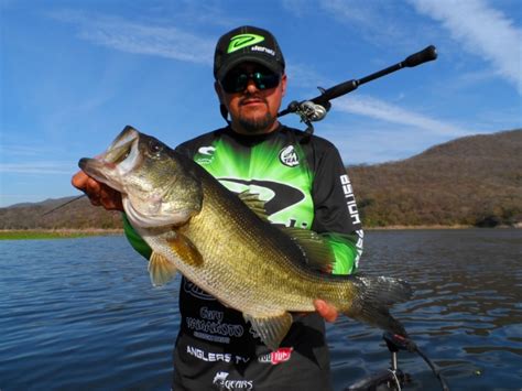 Donde Pescar Estructura Y Cobertura En La Pesca De Lobina