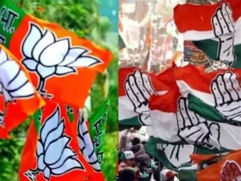 41 Candidates Are In The Fray For 5 Seats In Rajgarh District Madhya