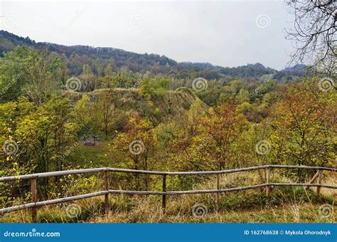Ecologisch Spoor Door Het Herfstbos Stock Foto Image Of Bloemen