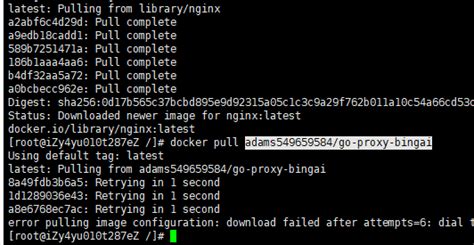 error pulling image docker镜像现在拉不下来了 · issue 250 · adams549659584 go