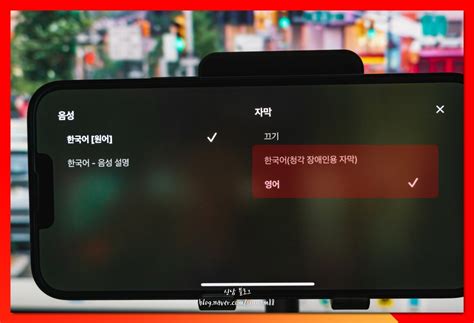 아이폰 넷플릭스 자막 크기 폰트 설정 아이패드 가능