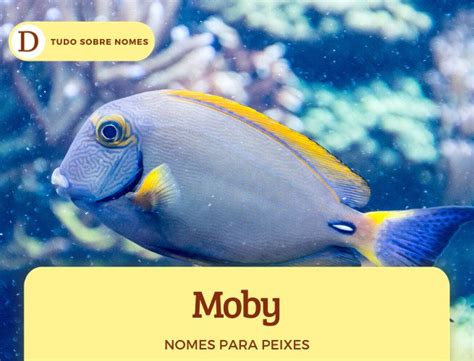 100 Nomes Lindos Para Peixes De Estimação Dicionário De Nomes Próprios