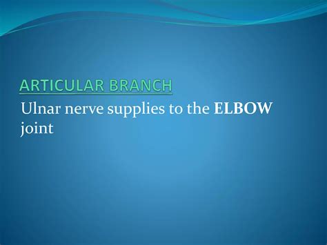 Ulnar Nerve Ppt Ppt