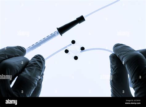 Organ On Chip OOC And Lab On Chip LOC Microfluidic Device Chip That Simulates Biological