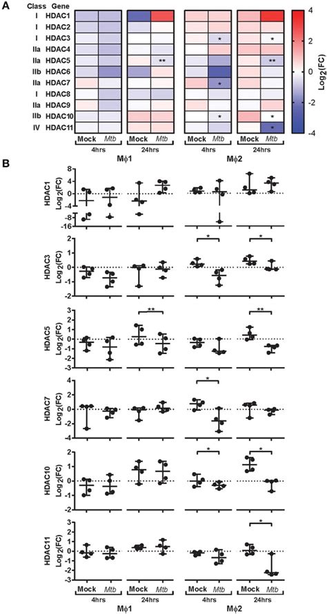 Functional Inhibition Of Host Histone Deacetylases Hdacs Enhances In