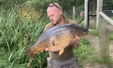 New Bait Success Total Carp