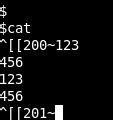 How Can I Create A Keybinding That Pastes In The Terminal In Bracketed