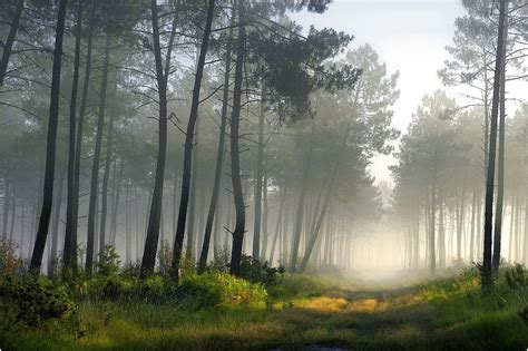 Pingl Par Jill Firmin Sur Places That Touched Me Nature Paysage