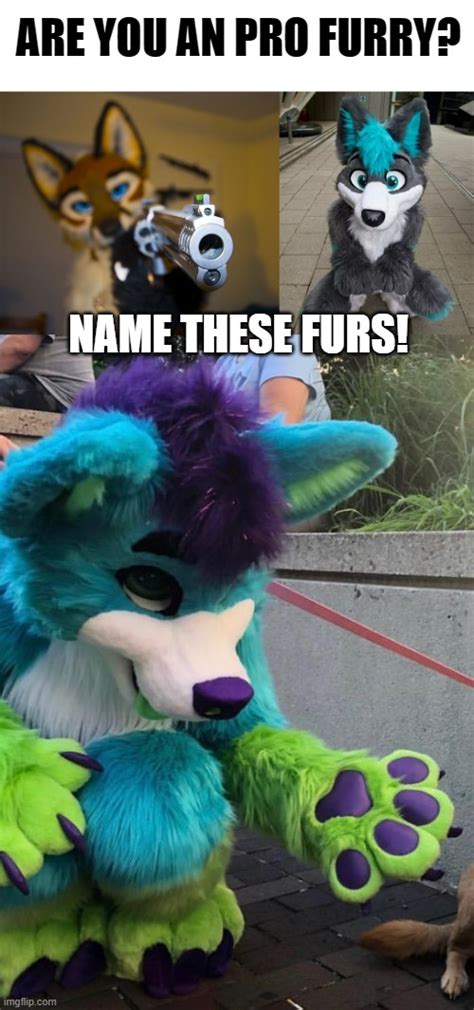 Do You Know Who They Are Without The Meme Imgflip