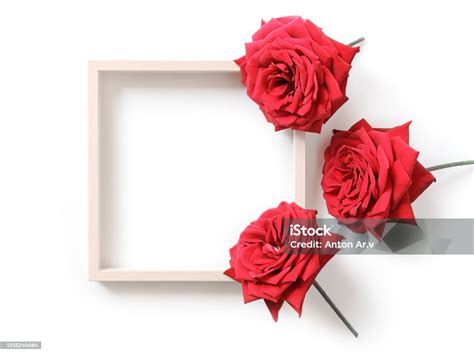 미니멀 한 꽃 배열 빈 나무 사진 프레임과 빨간 장미의 모의 흰색 배경입니다 플랫 레이 맨 위 보기입니다 공간을 복사합니다 0명에 대한 스톡 사진 및 기타 이미지 Istock