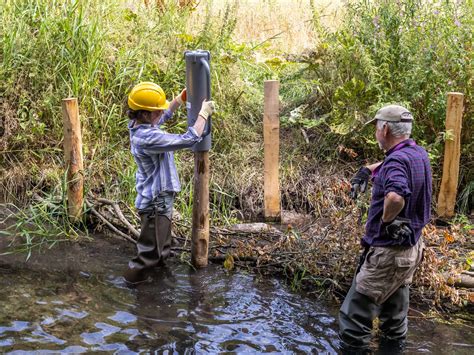 25 Years Of The Chilterns Chalk Streams Project Chalk Streams Chalk