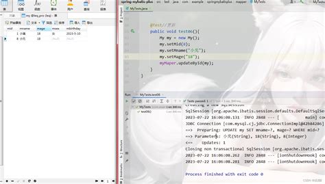 在springboot中整合mybatis Plus以及mybatis Puls的基本使用mybatisplus Boot Csdn博客