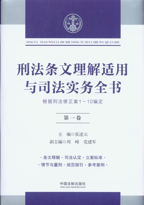 刑法条文理解适用与司法实务全书 六卷本