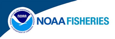 Mssi Completes Security Upgrades For Noaa Southeast Fisheries Science