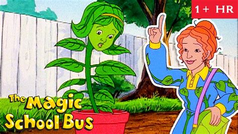 Photosynthesis Rainforests And Erosion Full Episodes The Magic