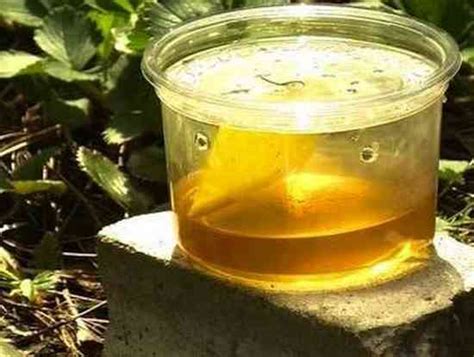 10 Utilisations Du Vinaigre Qui Vont Vous Simplifier La Vie