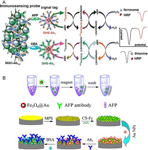 A The Protocol Of Multiplexed Electrochemical Immunoassay And The