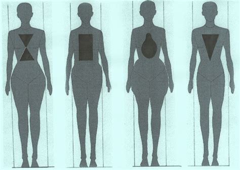 The Different Body Types Ectomorph Endomorph Or Mesomorph What Is