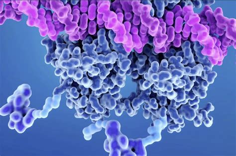 Clinical Multi Omics Advances Toward Precision Medicine EBook