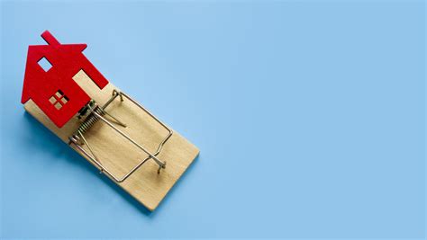Eine Frage Der Perspektive TREUENBURG CEO Torsten Pfeifer Im FOCUS