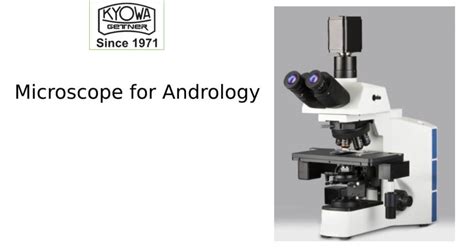 Microscope Magnification What Does It Really Mean For Your Research