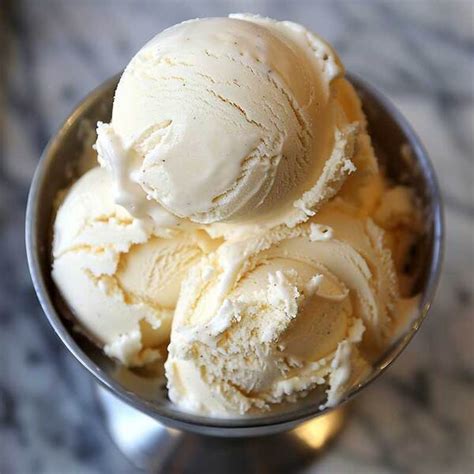 Crème Glacée Vanille Guy Demarle