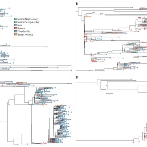 Maximum Likelihood Tree Of The Closest Sars Cov 2 Genomes To Those