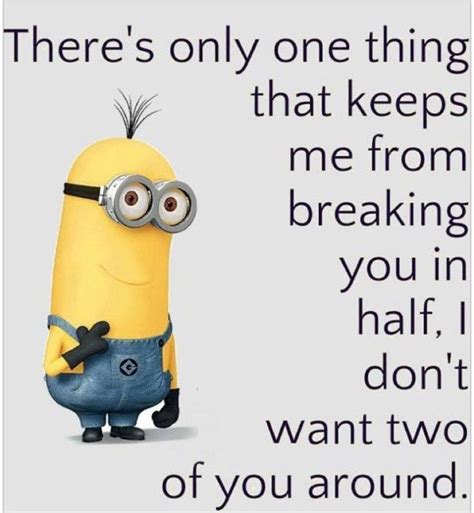 247 Motivational Inspirational Quotes 243 Funny Minion Quotes
