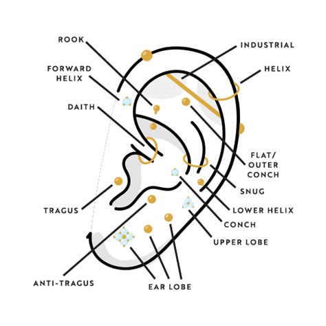 Ear Piercing And Body Piercing Essential Beauty And Piercing